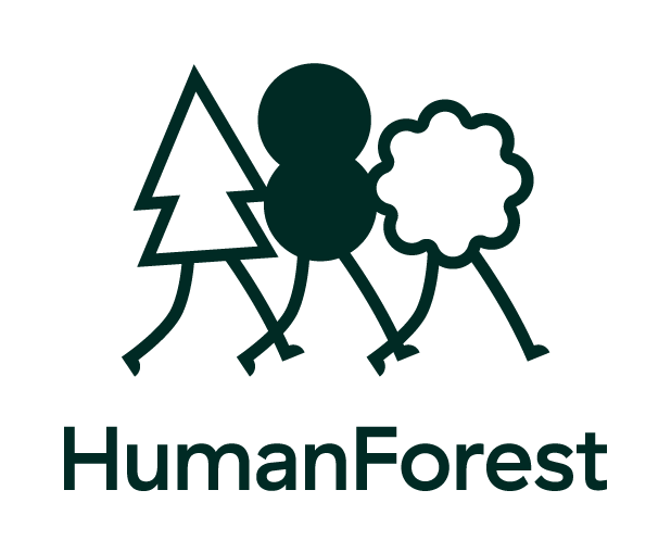 eBike adult 1-1 cycle skills on a Human Forest eBike - Islington ...